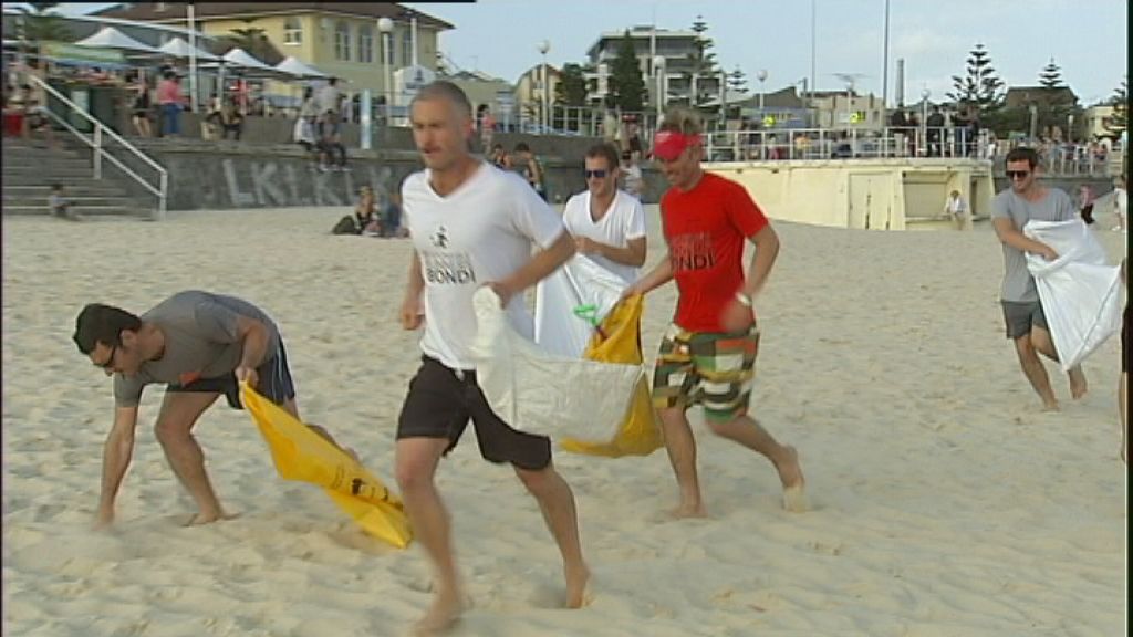 Sydney runners turn training into emu parade - ABC News