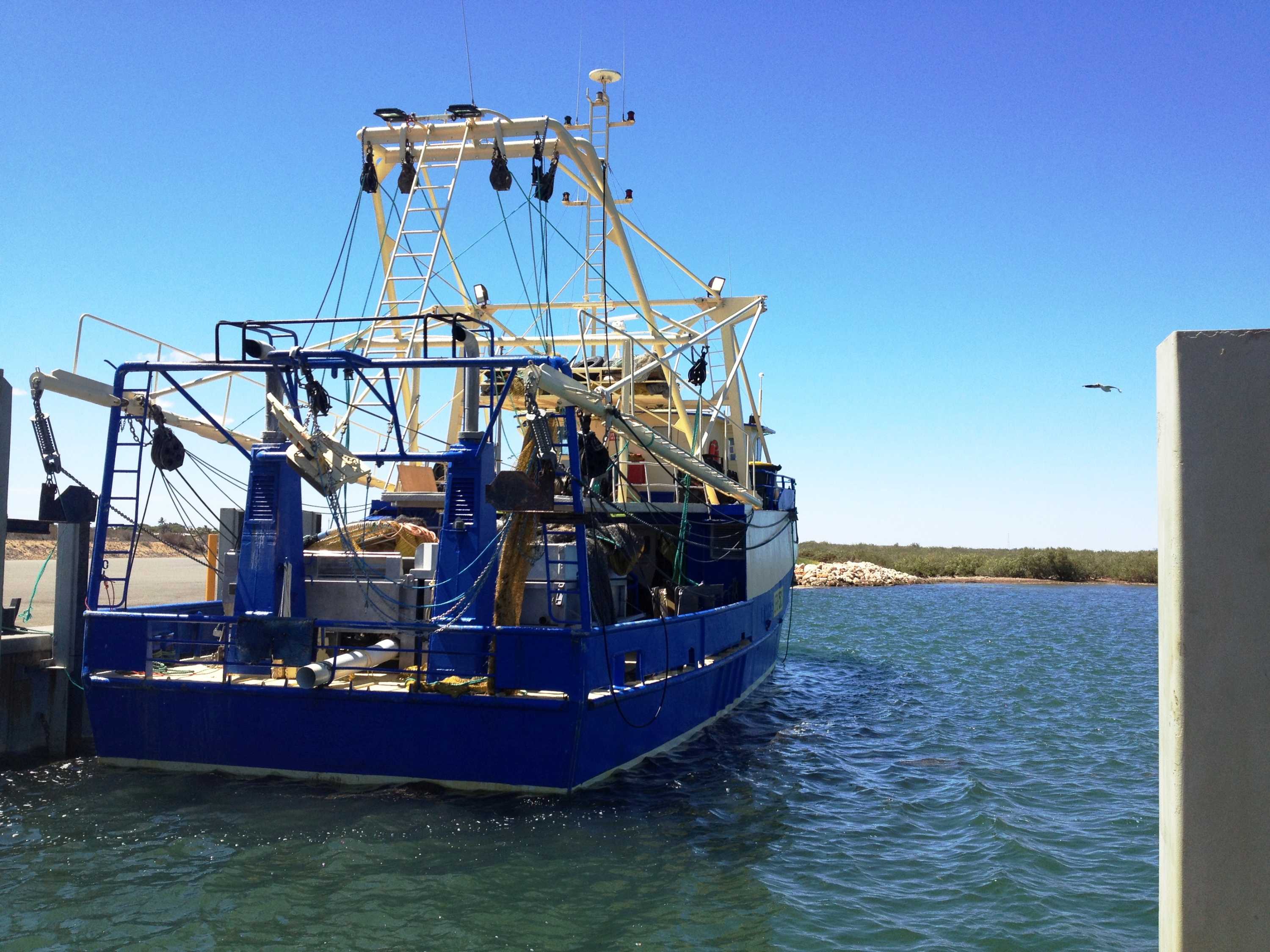 Shark Bay prawn trawlers to delay season start by a month until April ...
