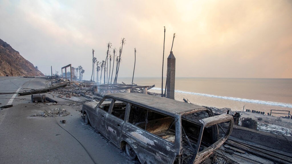 Zoologist Adam Britton pleads guilty to Supreme Court charges including ...