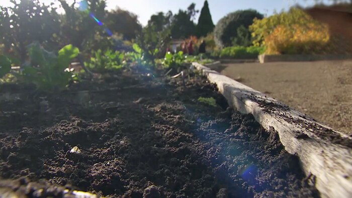 Vegie Patch Soil Preparation - Gardening Australia