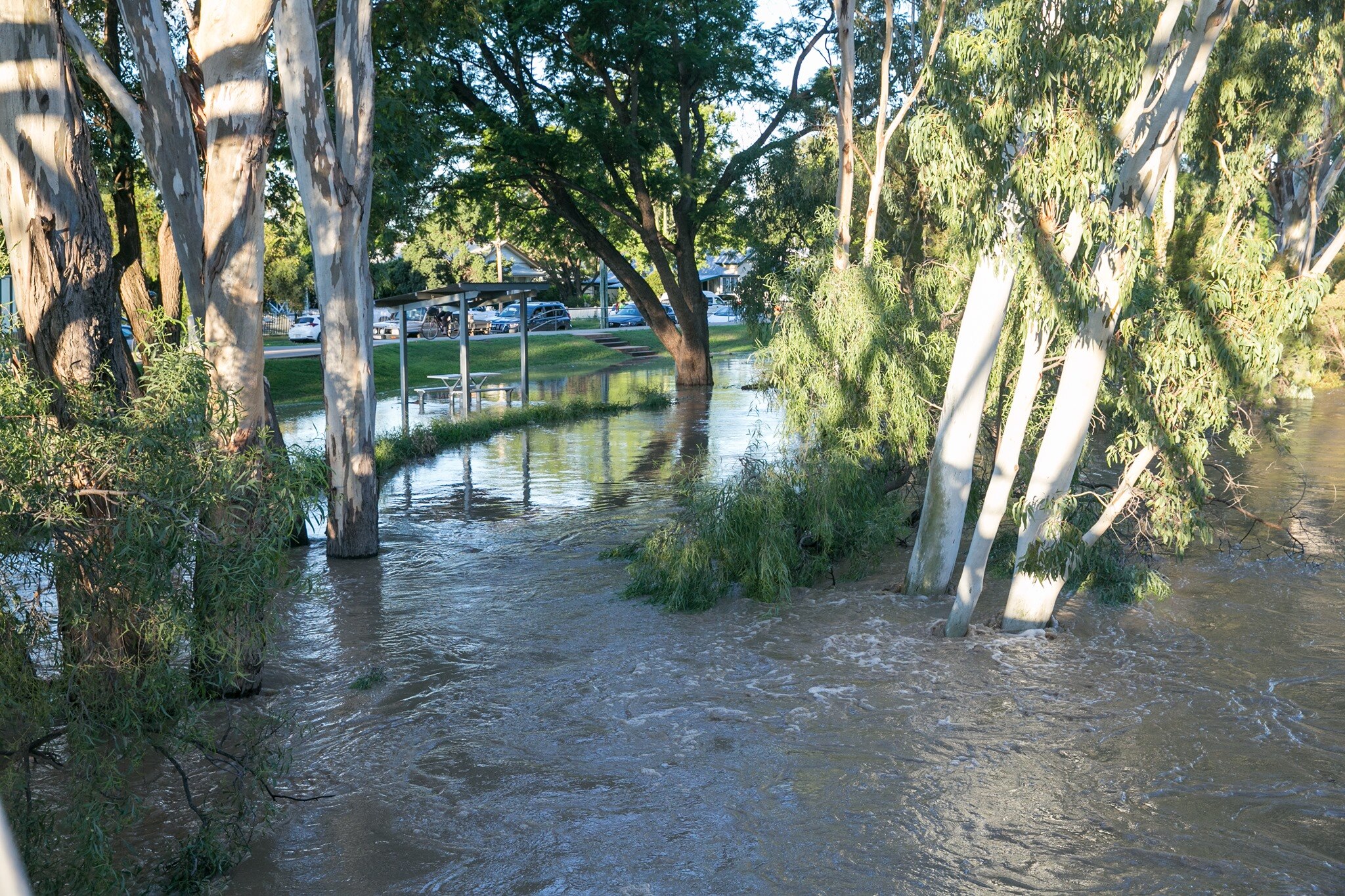 How two men helped keep the flood-prone town of Goondiwindi dry for 65 ...