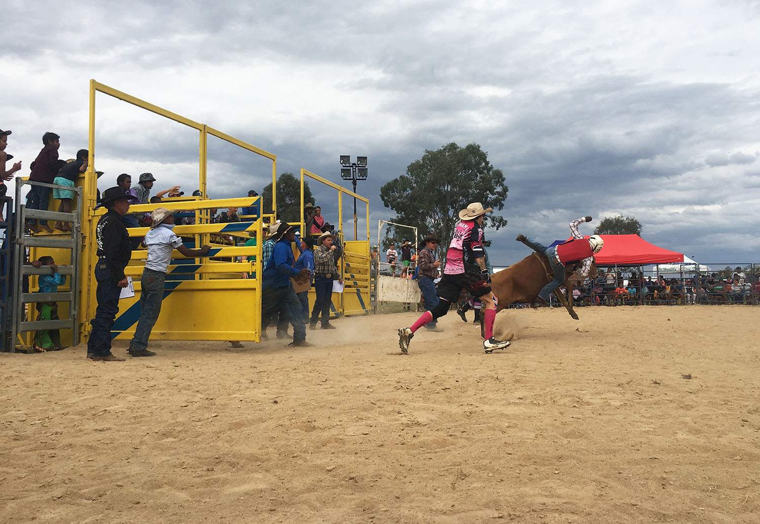 Bull riding used to help troubled Queensland teenagers get back on ...