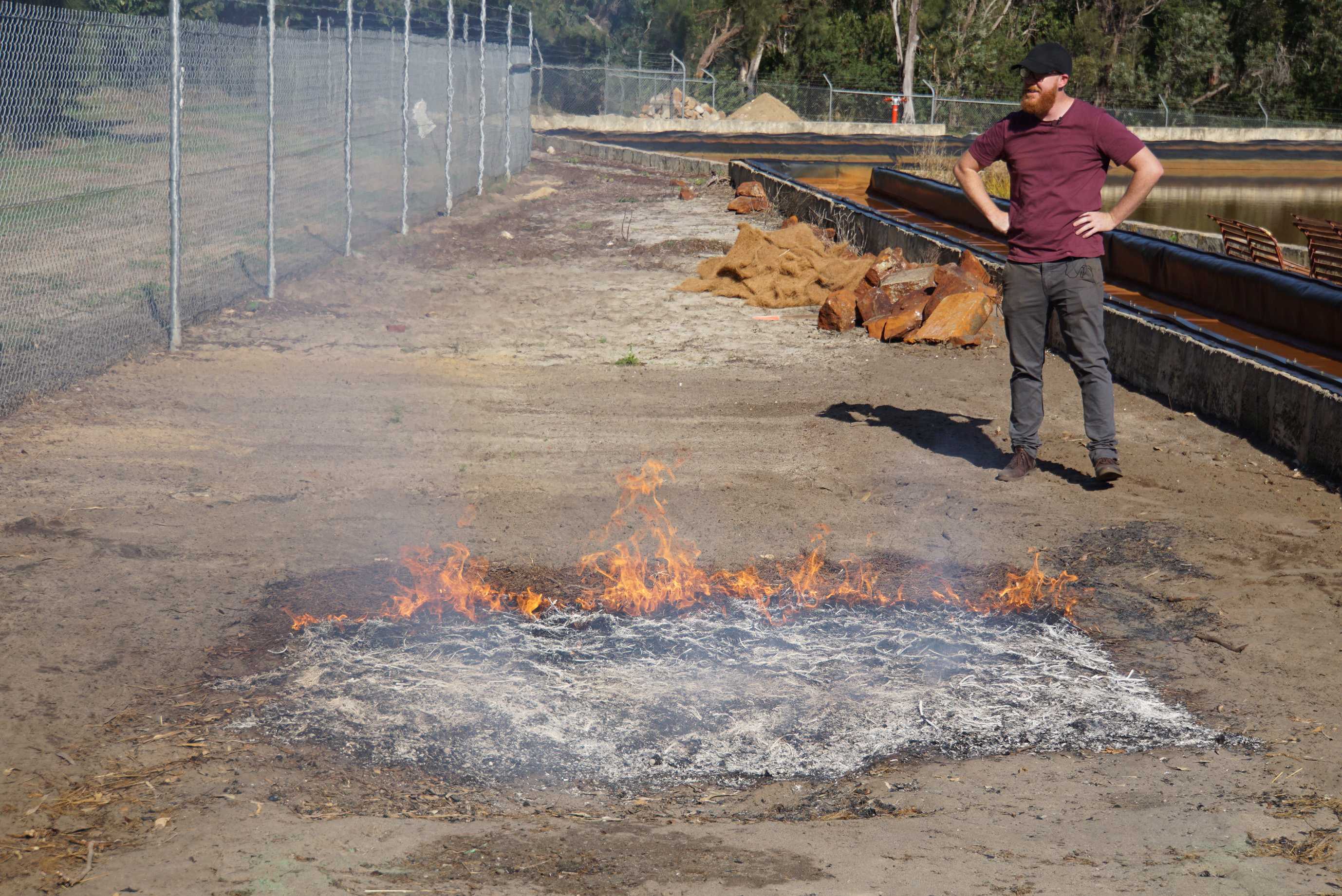 Bushfire management: Fibre optics may unlock secrets of seeds surviving ...