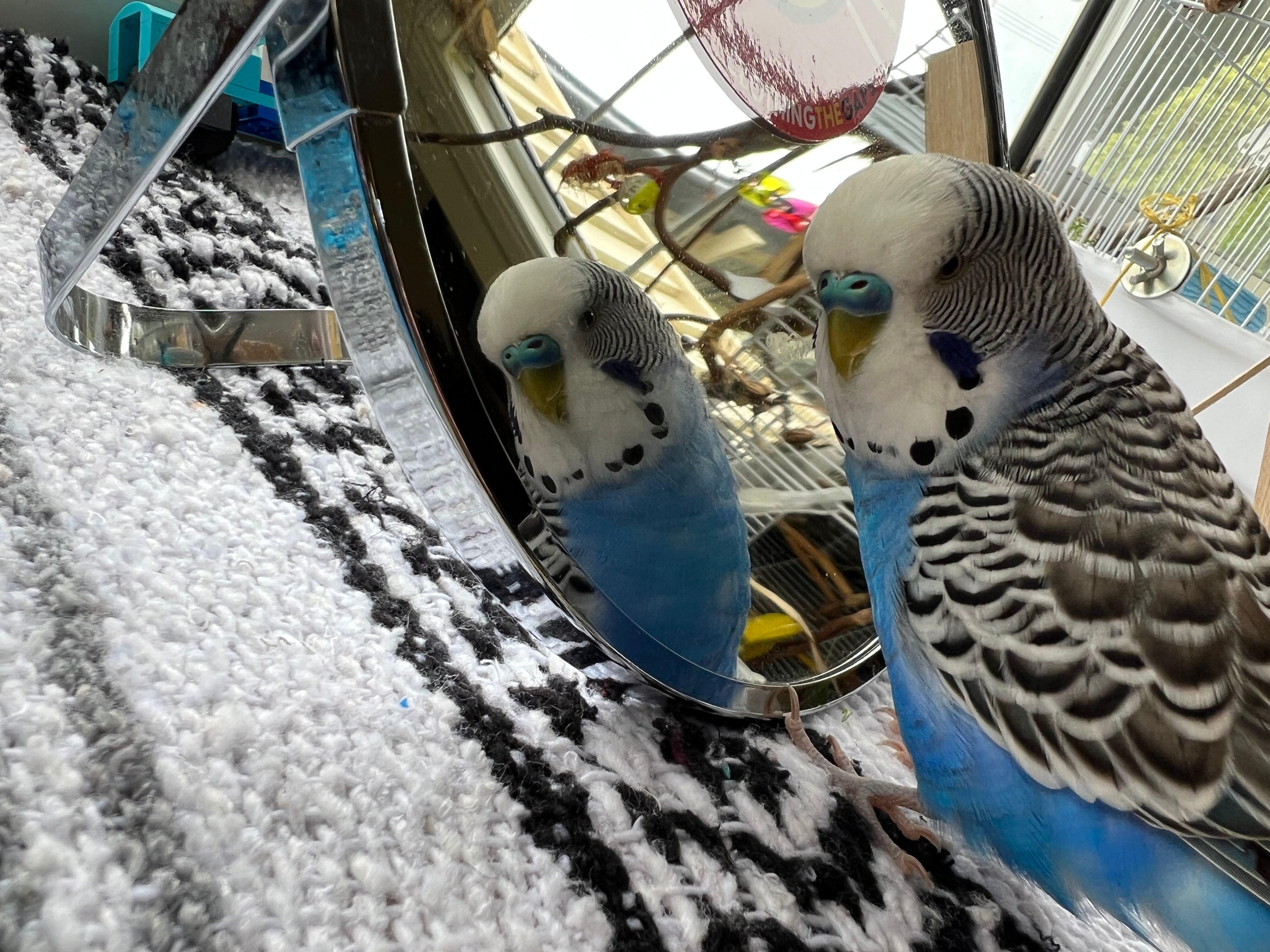 Mr Beaky is a little bird with big message and he shares his lesson ...