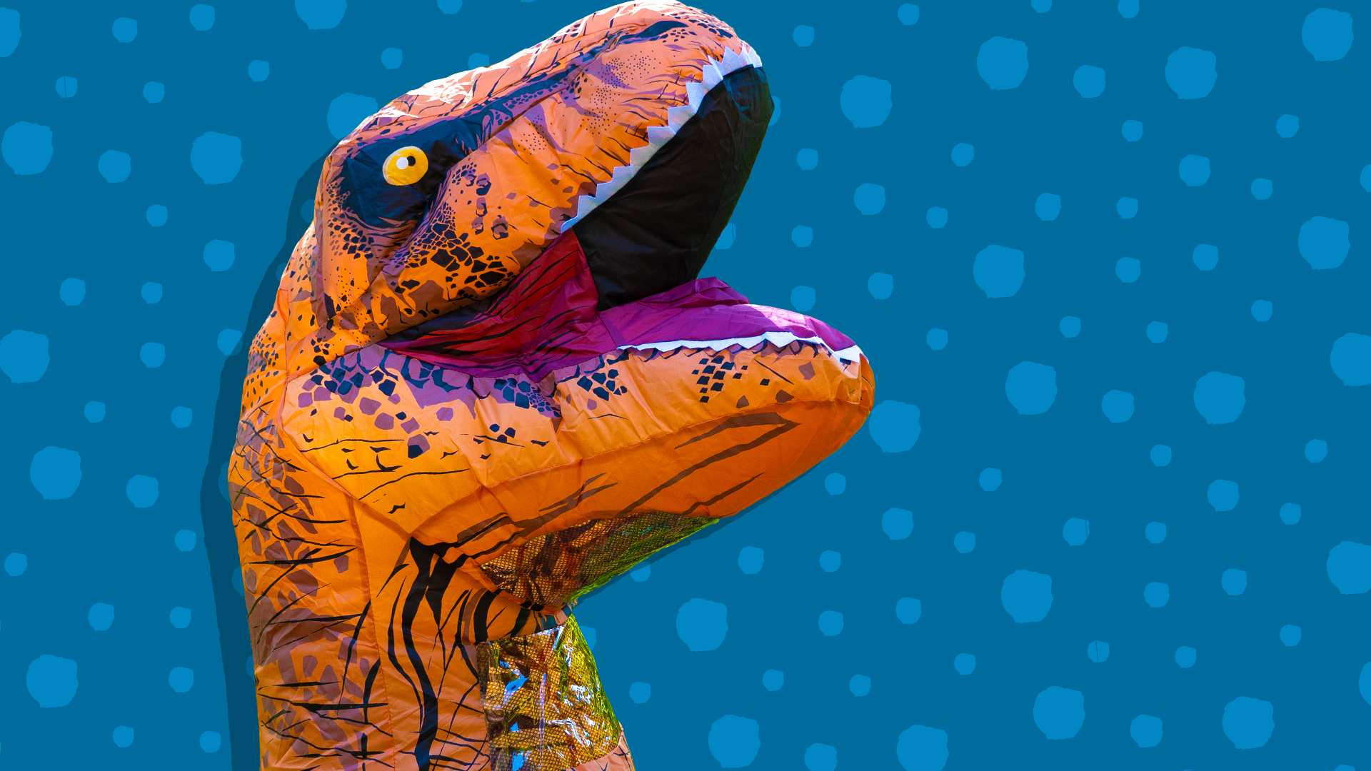 Giant Aussie Dinosaur - Behind The News