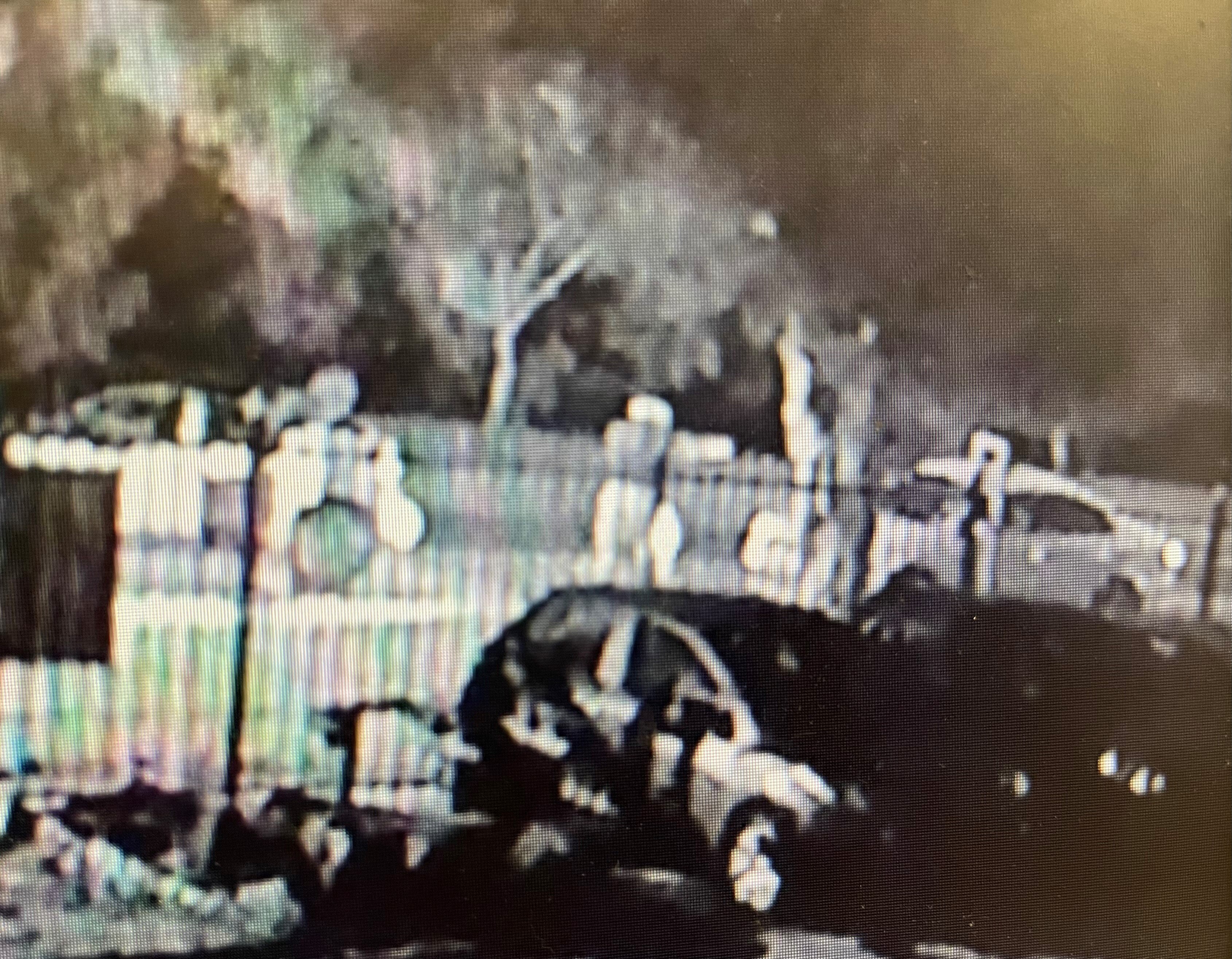 Shot fired during carjack attempt in Doveton, in Melbourne's south-east ...