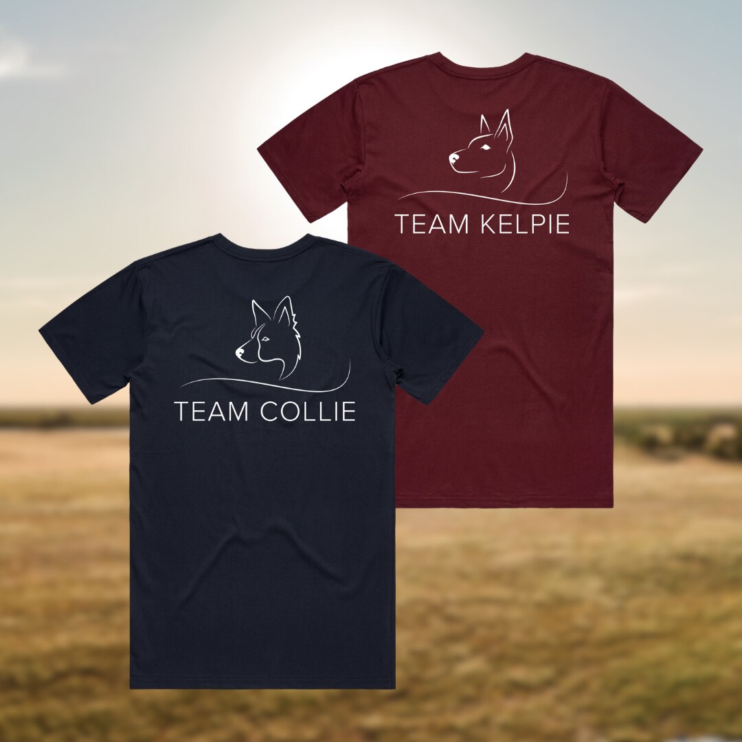 ABC Shop - ABC Commercial - ABC Shop