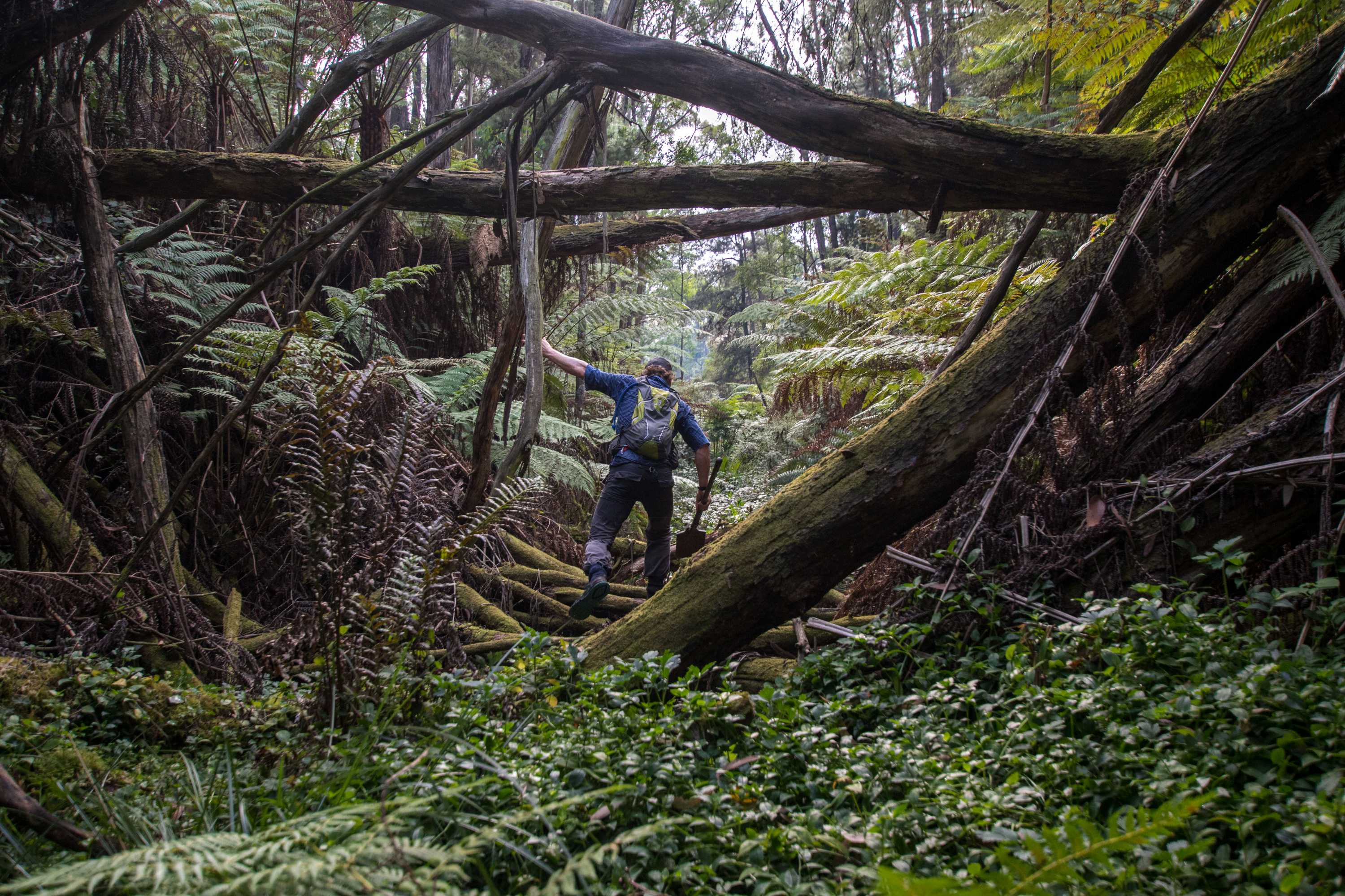 Beau Miles runs length of old Warragul-Noojee Railway line in new ...