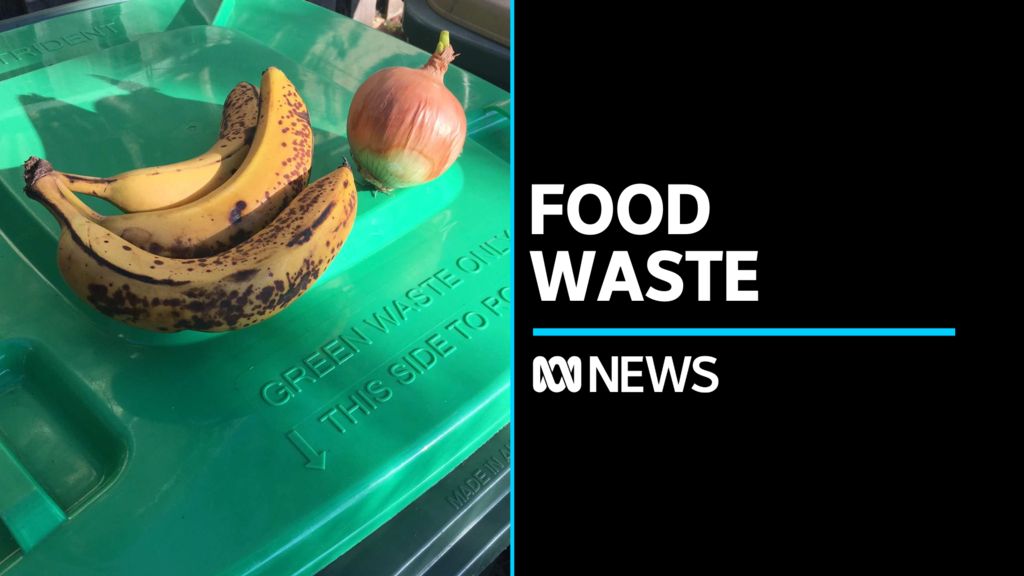 ACT government considers fines for improper disposal of food waste ...