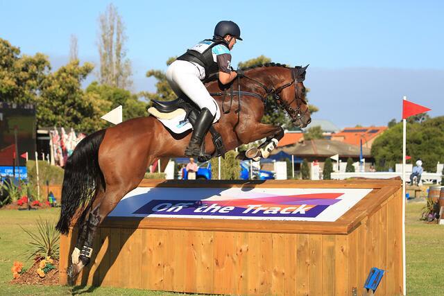 Retiring racehorses leave the track to take on second career in the ...