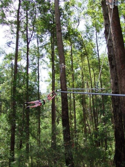 World's Largest Roller Coaster Flying Fox to be built on the Central ...