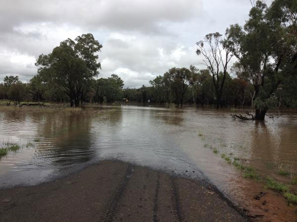 Drought-affected graziers in outback Queensland welcome rain, prepare ...