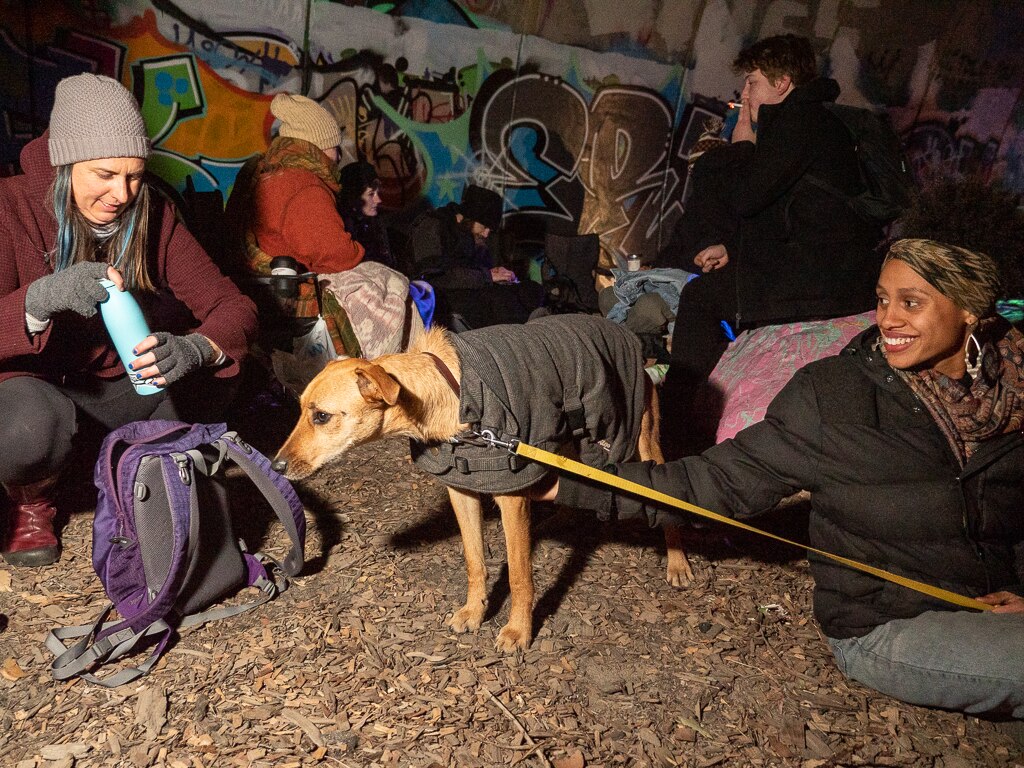 What goes on at a generator party - ABC News