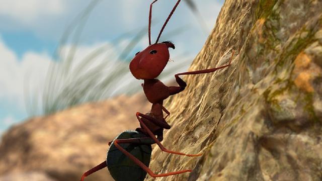 Interact with these Minibeasts! - ABC Education