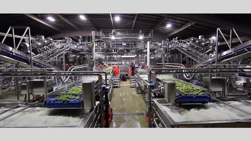 Cutting waste water in wine production - ABC listen