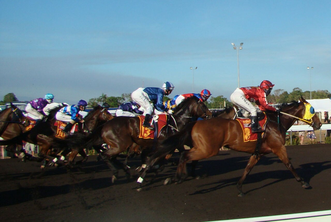 Activation wins the Darwin Cup - ABC News