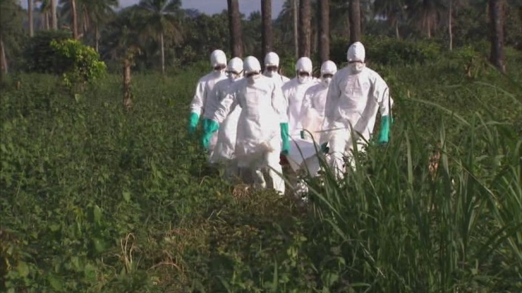 Bugs on the menu at Japanese insect eating club - ABC News