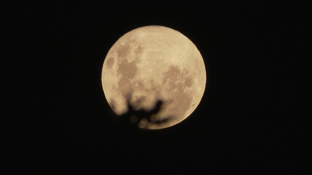 The supermoon rises over Sydney's CBD - ABC News