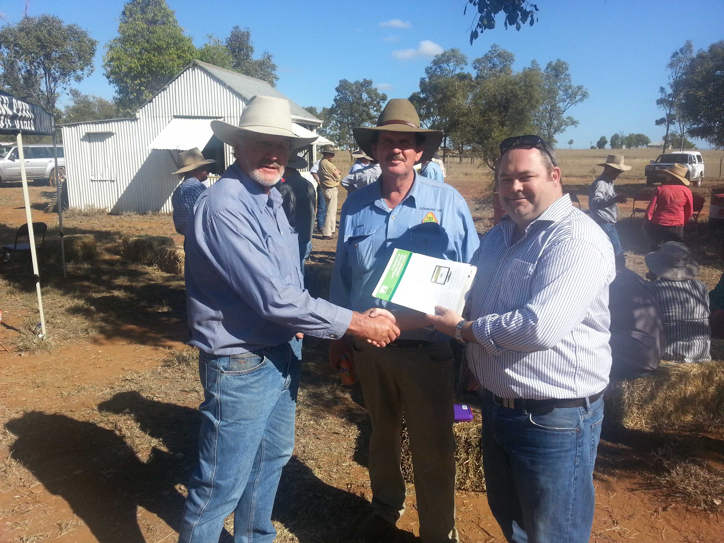 First certified pasturefed cattle sold - ABC News