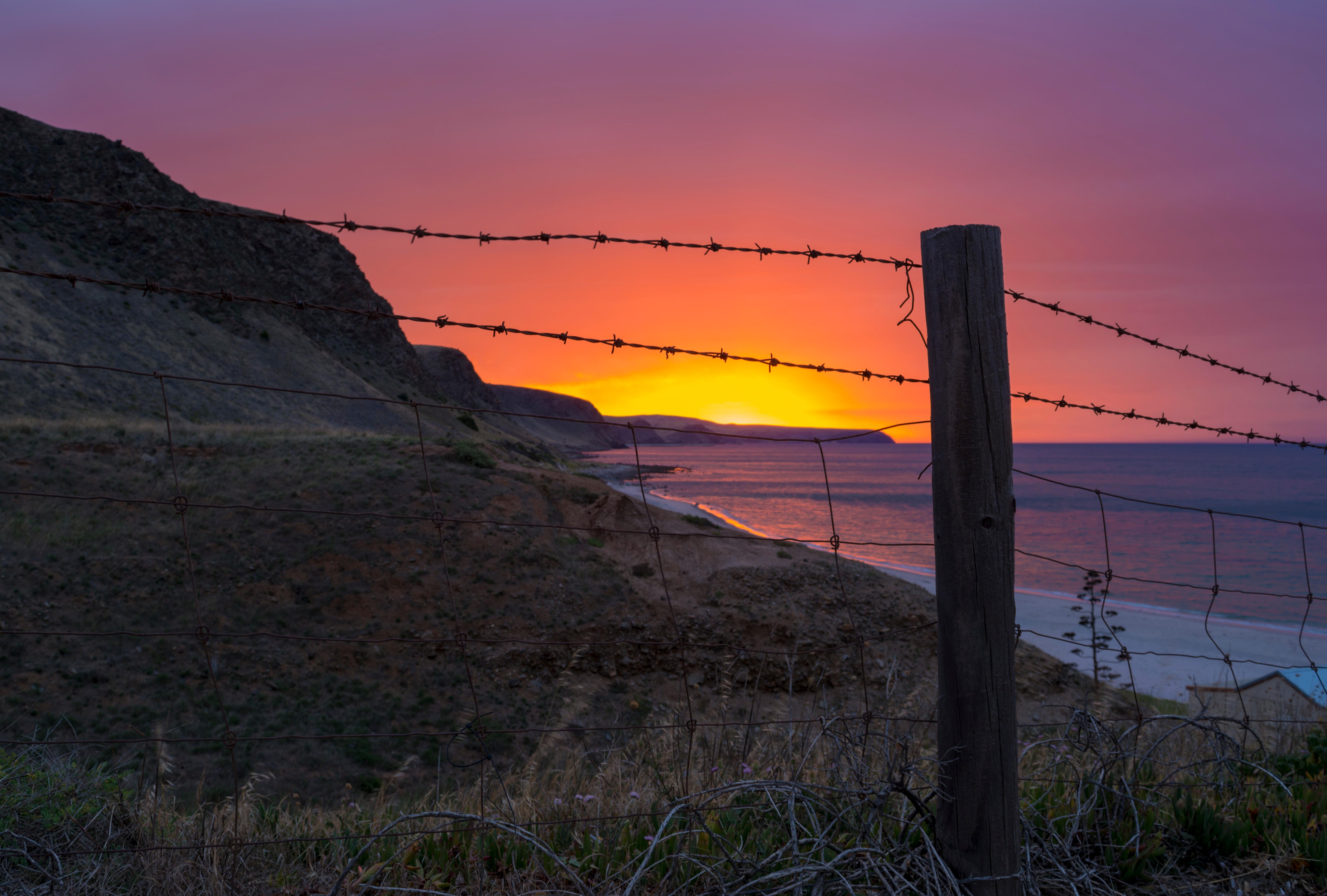 Against “the Great Australian Silence”: The relevance of W.E.H. Stanner ...