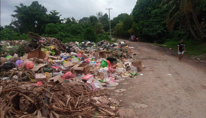 Stray dogs hem big problem long Gizo and West - ABC Pacific
