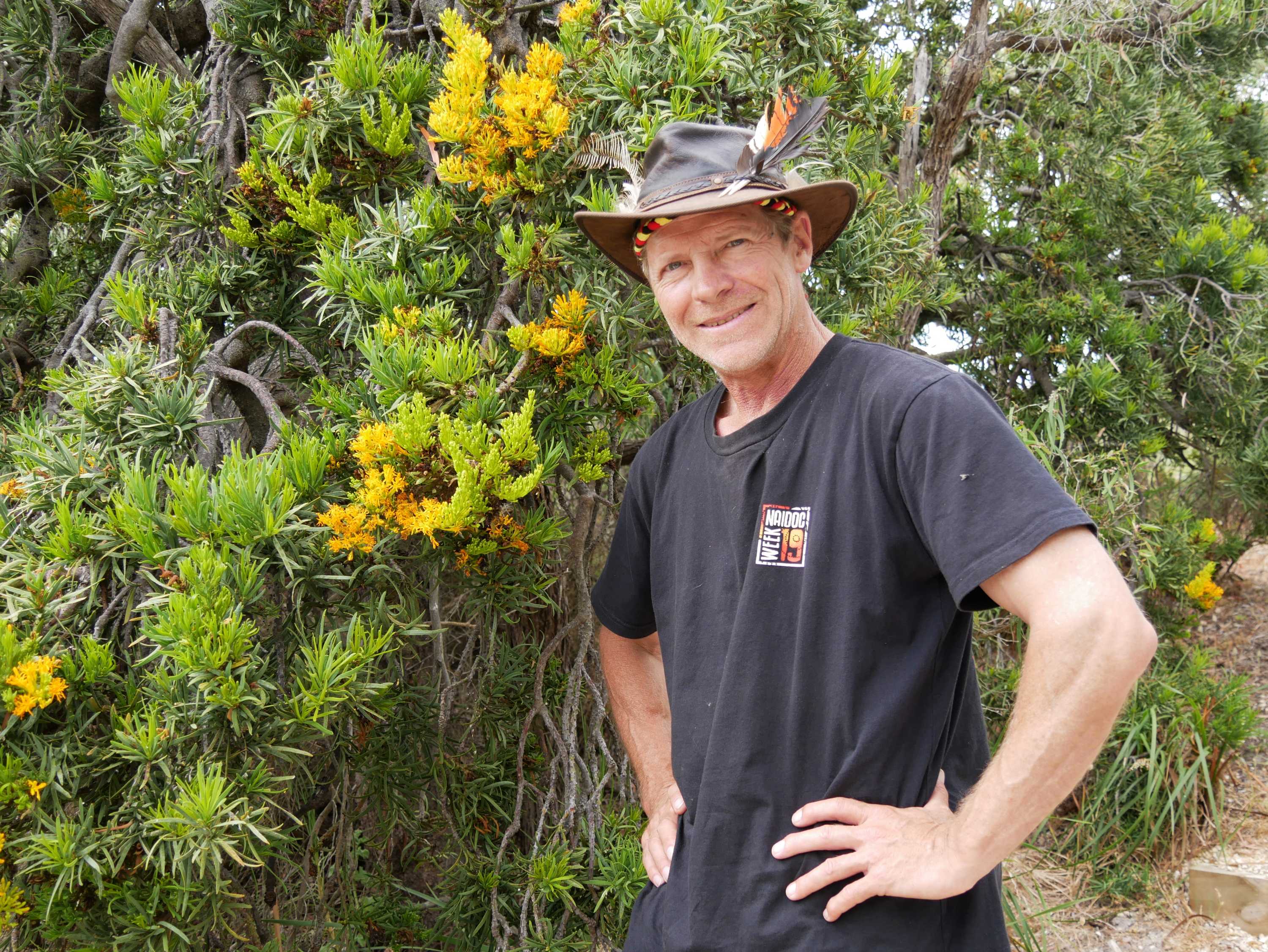 SouWester Spirits under fire for use of moojar tree,…