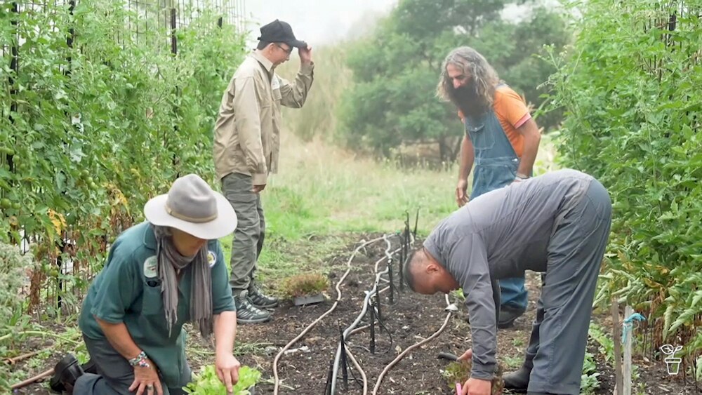 Growing Work - Gardening Australia