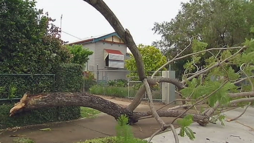 Cyclone Debbie: What to do in the storm's aftermath - ABC News