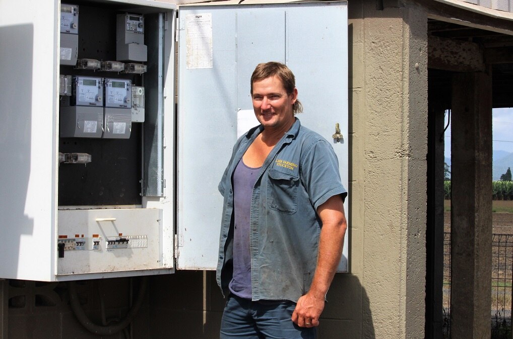 Banana biosecurity prompts Ergon Energy to roll out remote meter ...