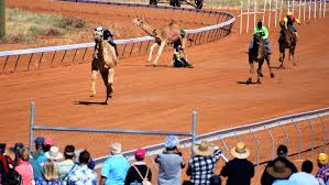 The Melbourne Cup of camel races - ABC listen