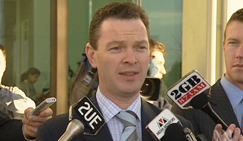 Interview: Pyne considers deputy nomination - ABC News