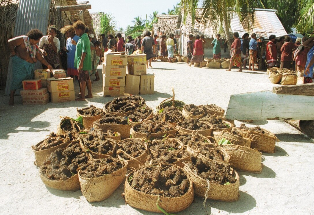 Unique culture of Takuu Atoll at risk from climate change, migration ...
