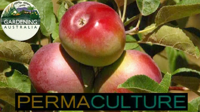 From the Archives - Permaculture Special - Gardening Australia