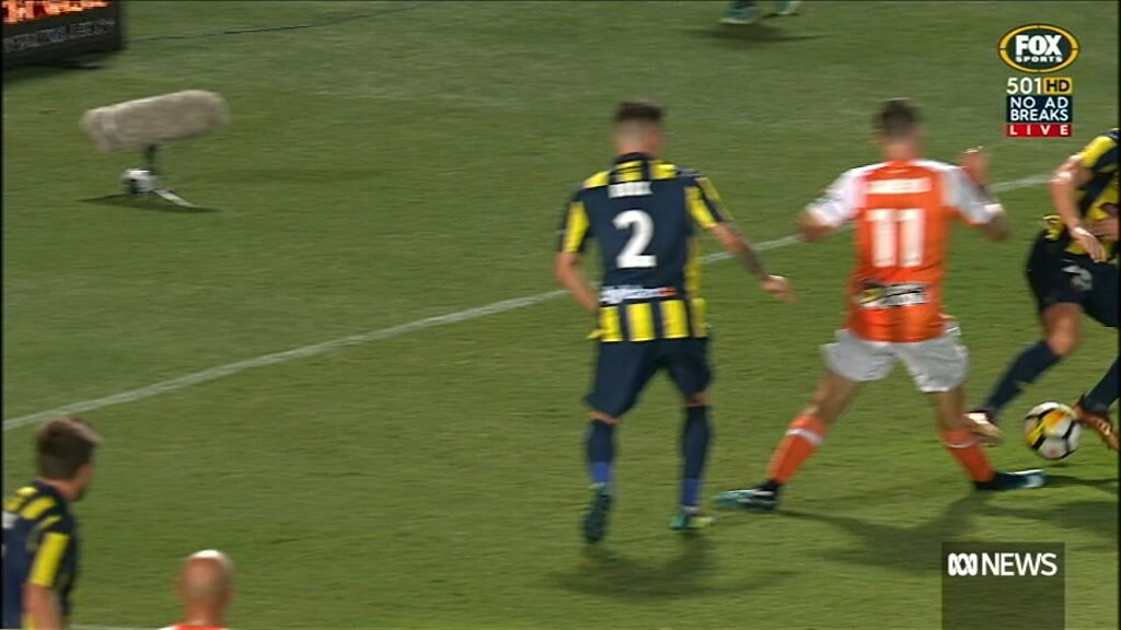 Wout Brama awaits fate for 'disgusting' tackle on Corey Gameiro in A ...