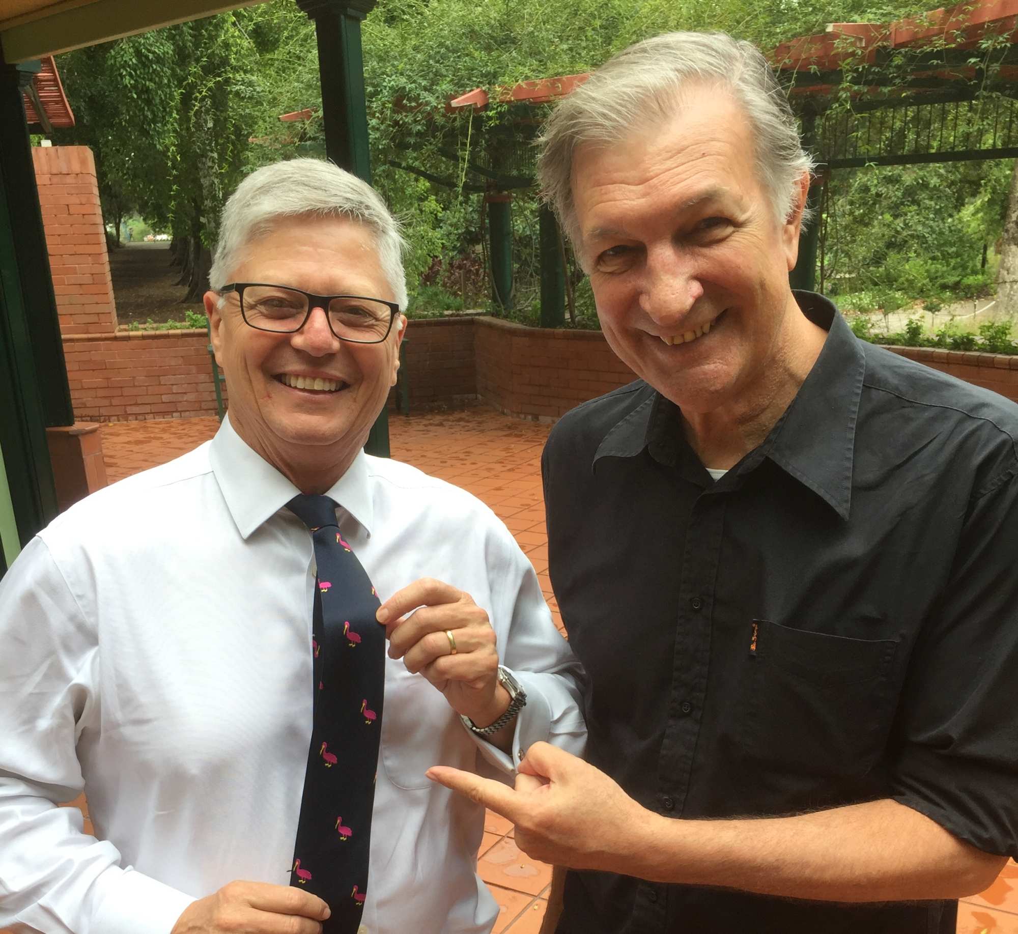 Ibis hunting (or not) with David McLachlan - ABC listen