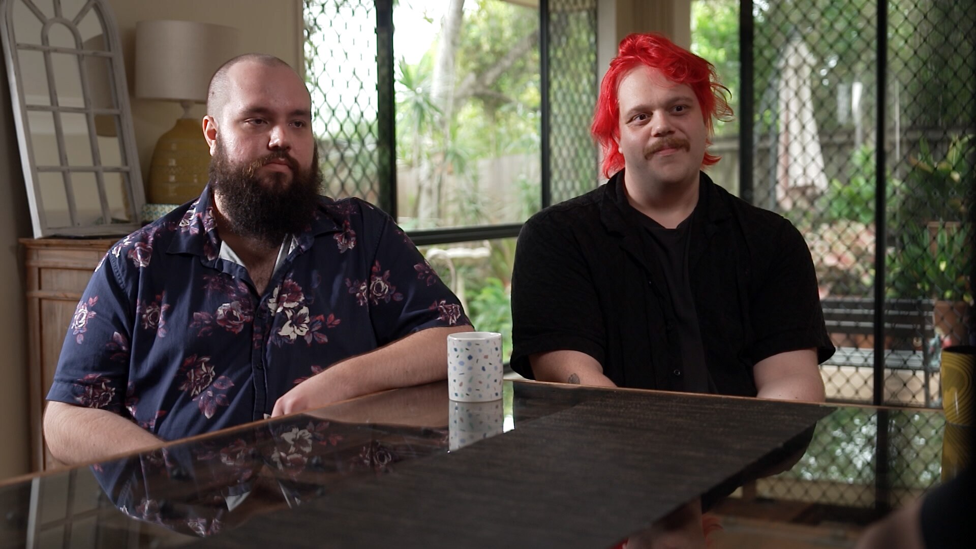 Dragonflies and damselflies: Why these vividly coloured, mosquito ...