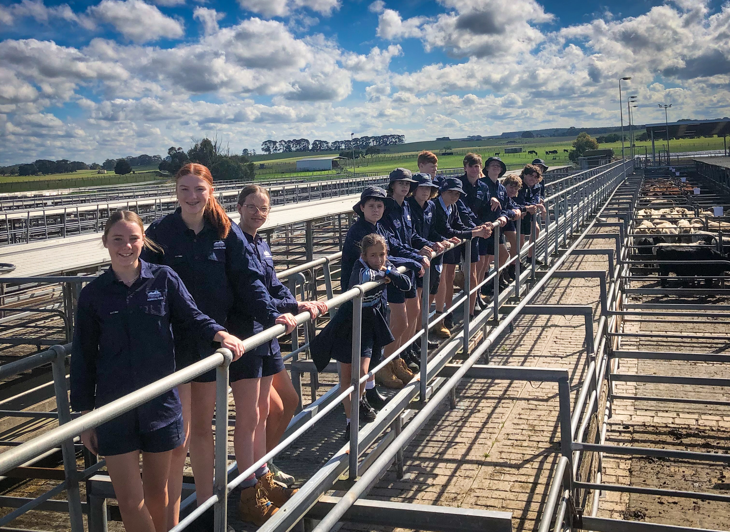 South Australian schools want to bring back agriculture classes, but ...