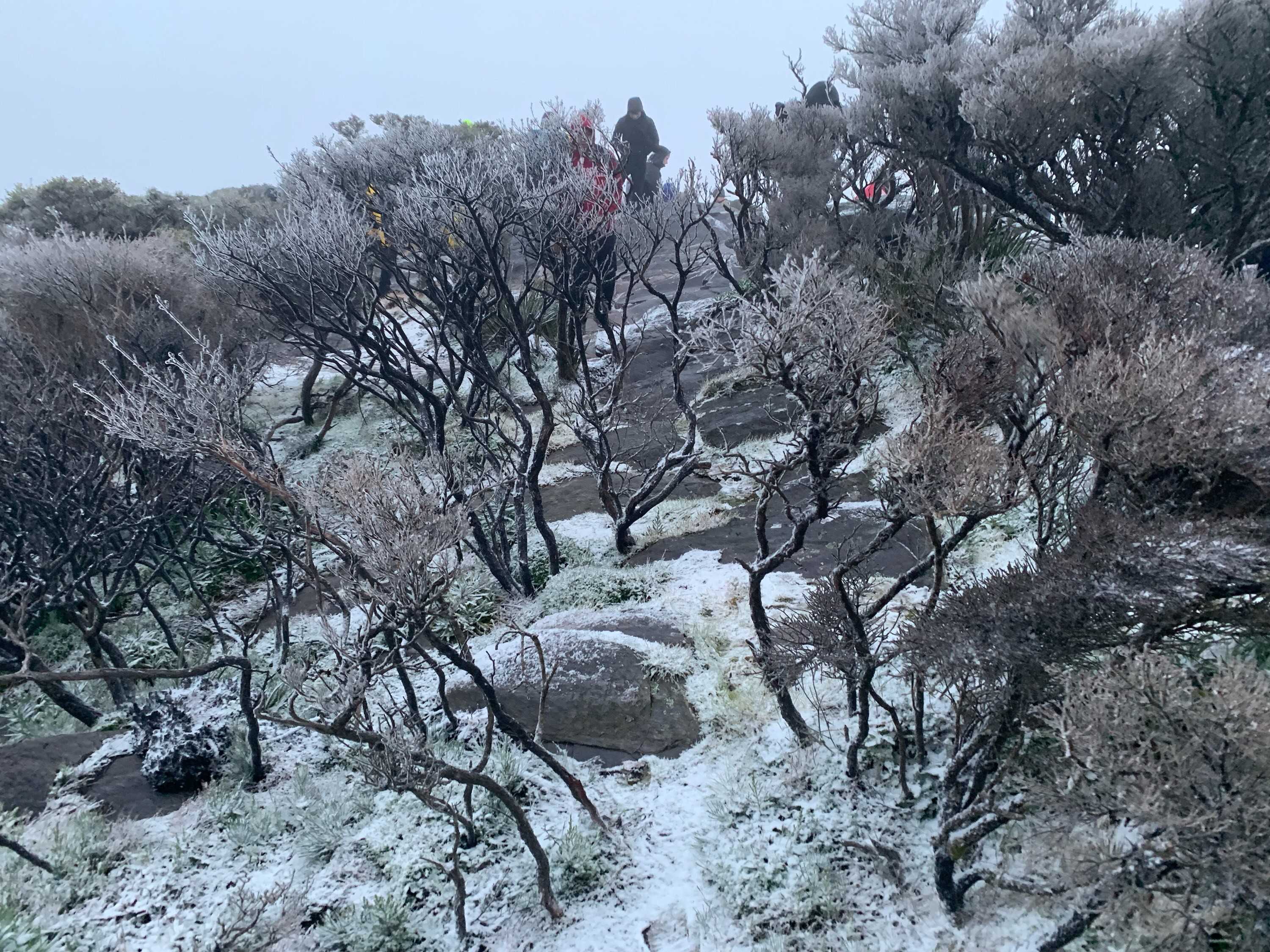 Perth hit by cold front, bringing snow to Stirling Range in south - ABC ...