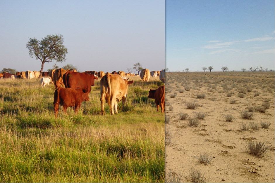 Before and after: How the drought is biting in regional Australia - ABC ...