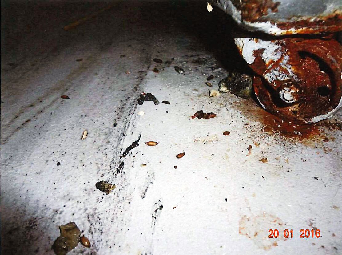 Pest-infested, filthy eateries going years without inspections in ...