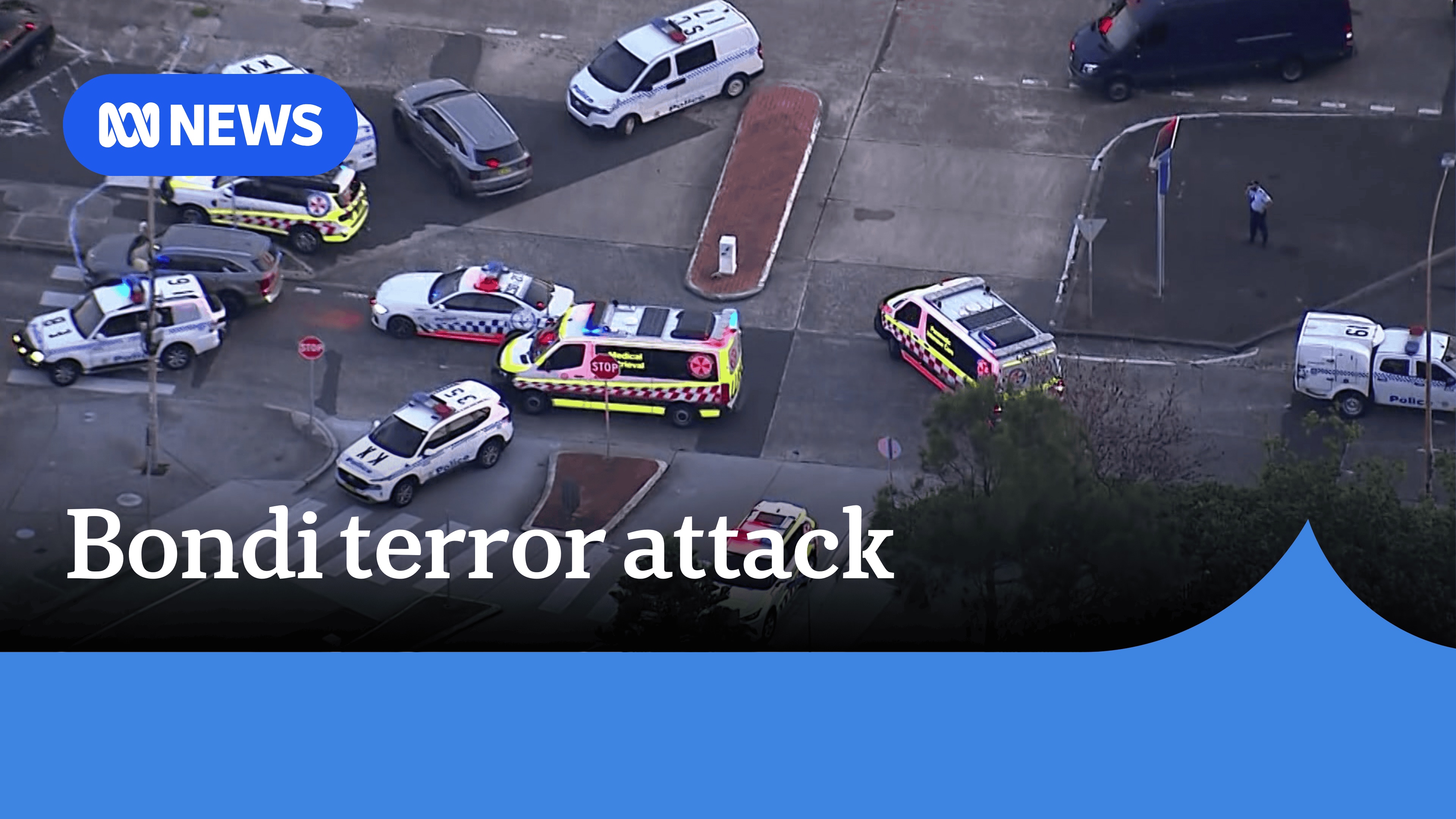 Bondi Beach terrorist attack shocks the world - ABC News