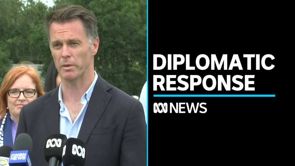 Chris Minns avoids condemning Dominic Perrottet over Nazi costume - ABC ...