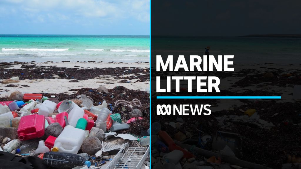 New study reveals plastic waste 'drastically' reduced after bans - ABC News