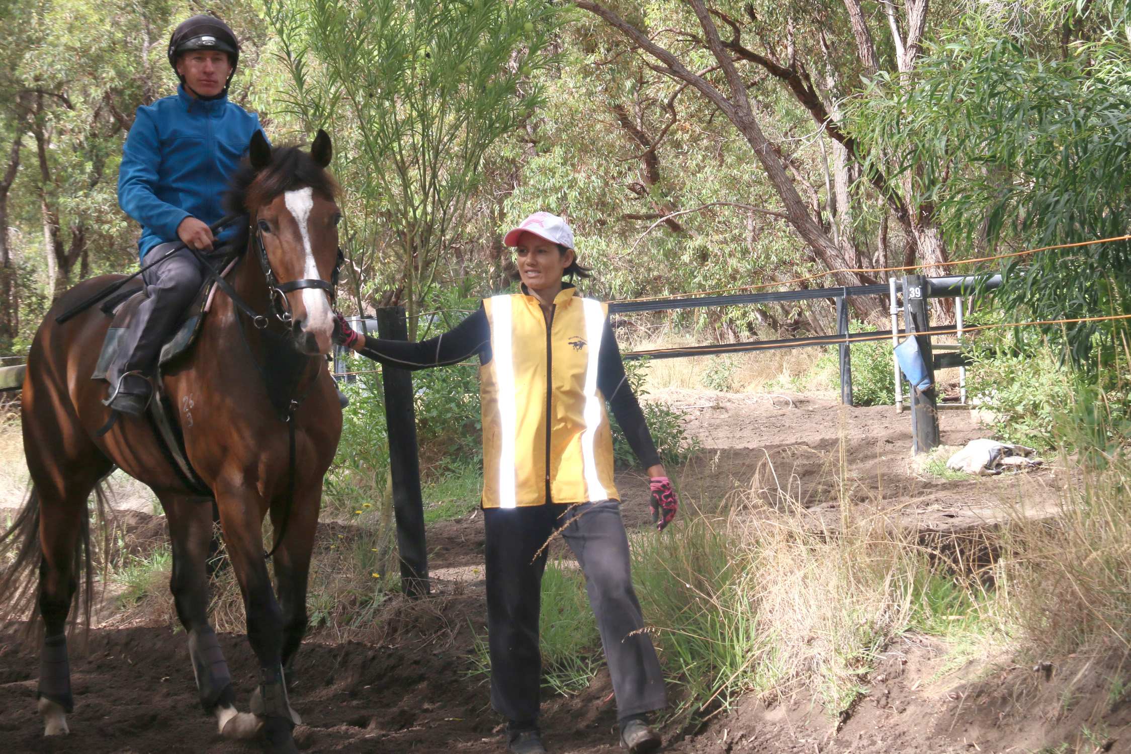 Perth Cup: Top jockey William Pike eyes third race win - ABC News