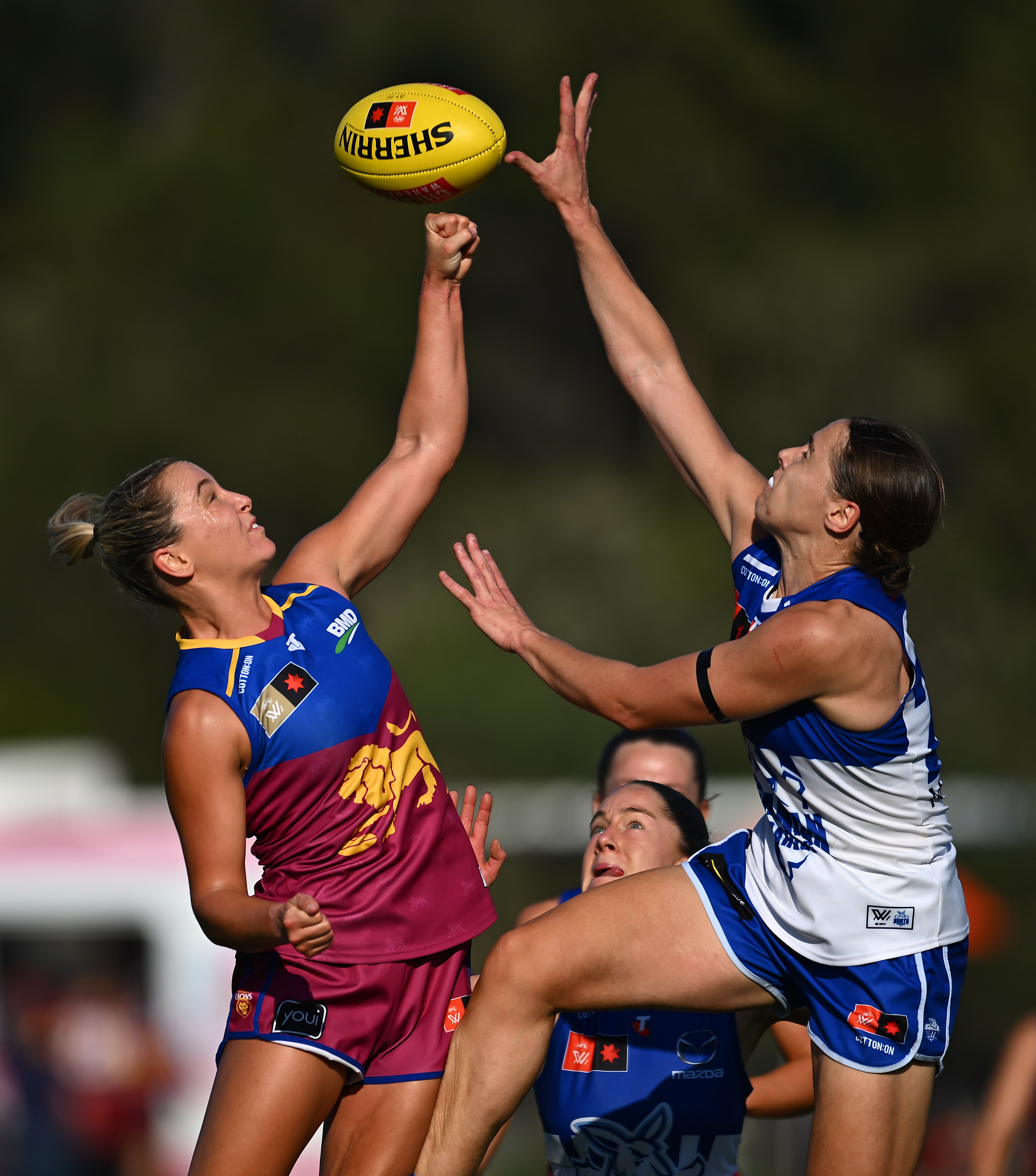 North Melbourne Kangaroos and Brisbane Lions face challenge of ...