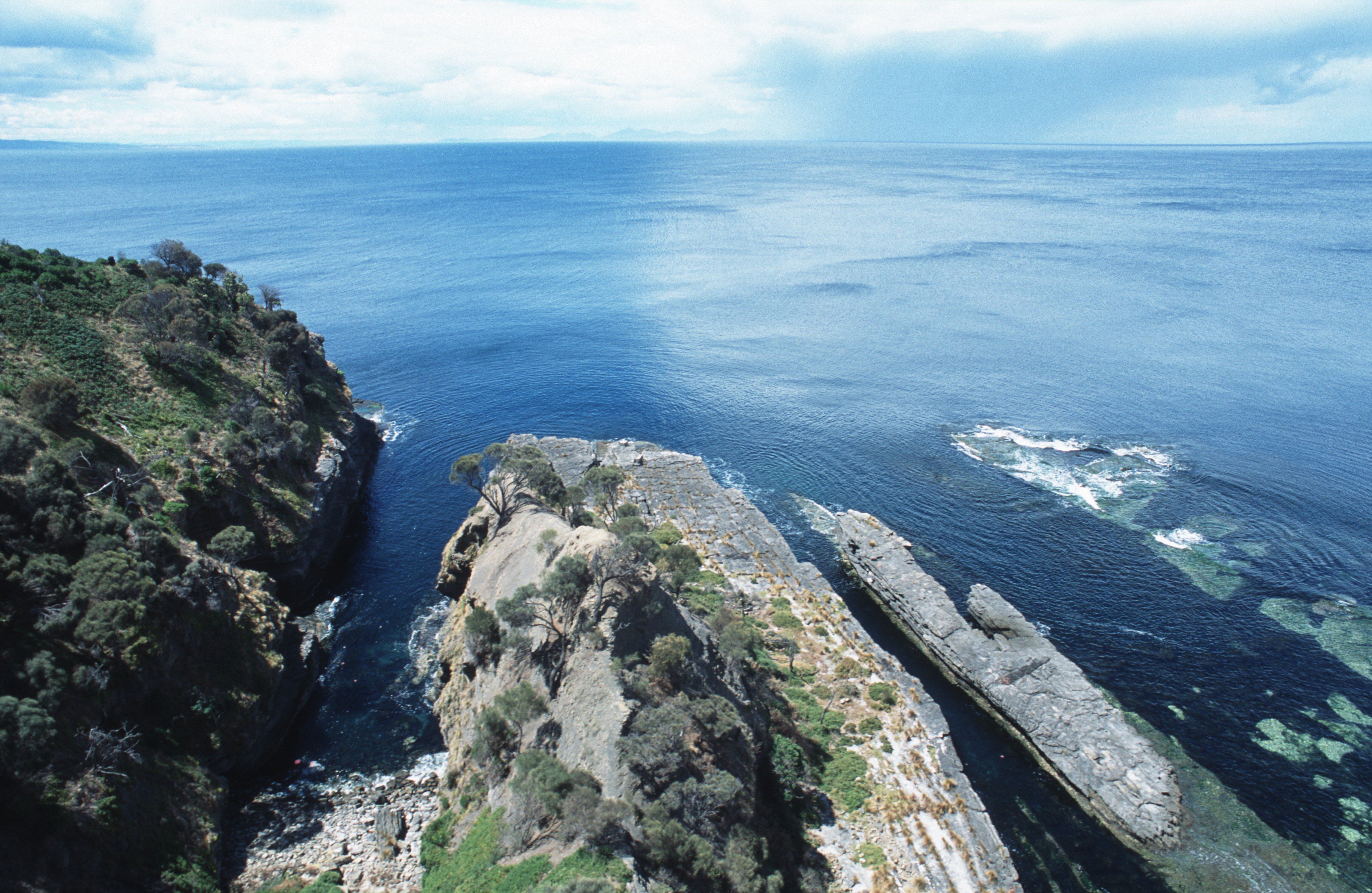 Marine heatwave could cook southern Australian oceans this Summer - ABC ...