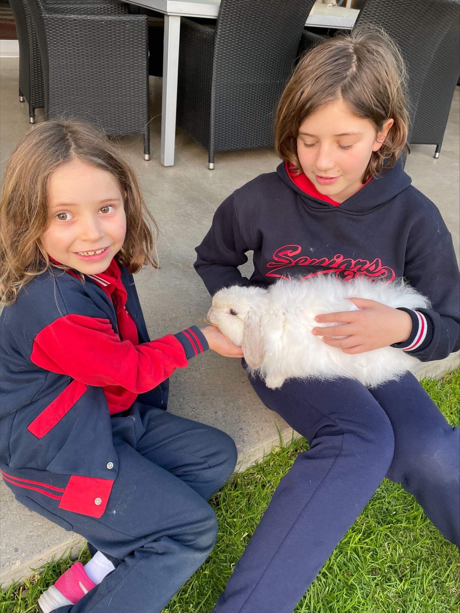 How do you keep your pets entertained while you're away? - ABC listen