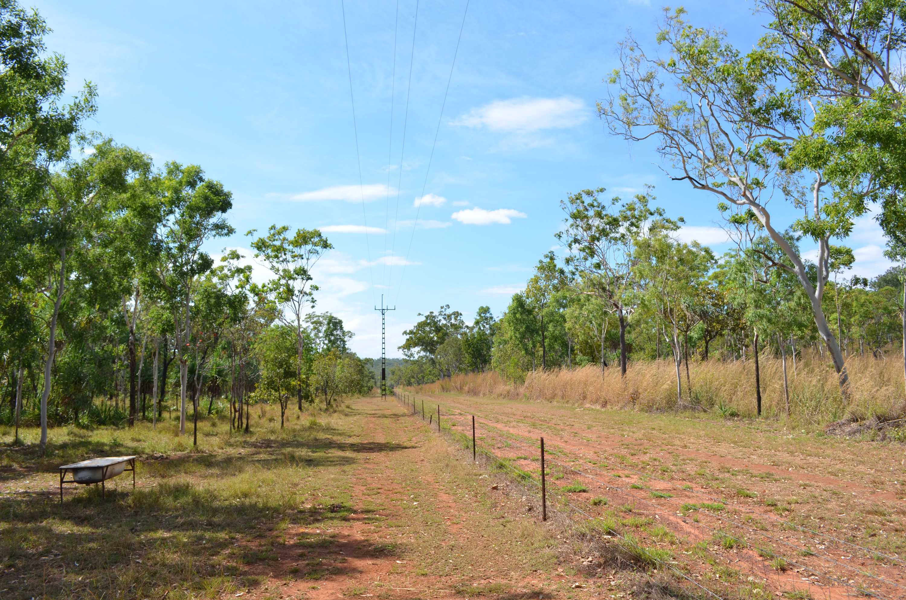 Native vegetation clearance set to become more costly in SA - ABC News