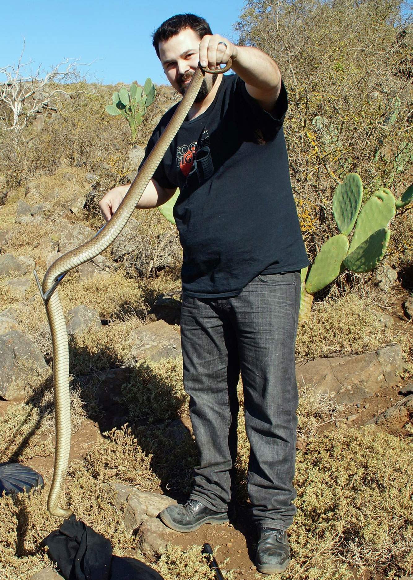 Snake catcher says housing boom squeezing out reptile release sites in ...