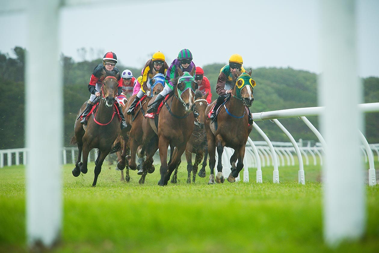 King Island loves the horses: 125 years of racing in the middle of Bass ...